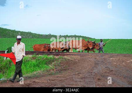 Dominican Republic, La Romana - 08 Jun 2021: Two men in hats and boots ...