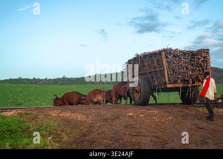 Dominican Republic, La Romana - 08 Jun 2021: Two men in hats and boots ...