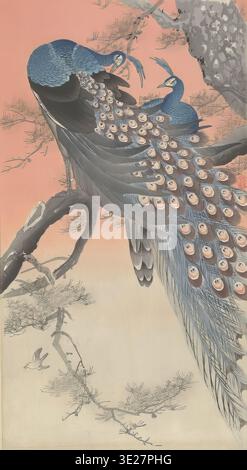 Ohara Koson – Two Peacocks on a Tree Branch (Twee pauwen op boomtak ...