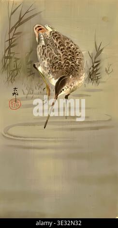 Ohara Koson – Snipe in Water (Shigi), c. 1900-1930 | Archium Stock ...