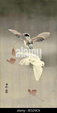 Ohara Koson – Pigeons with Falling Ginkgo Leaves in Rain (Twee duiven ...
