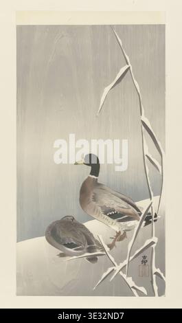 Ohara Koson – Two Pigeons on an Autumn Branch (Twee duiven op herfsttak ...