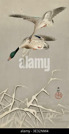 Ohara Koson – Two Wild Ducks in Water (Koppel wilde eenden in het water ...