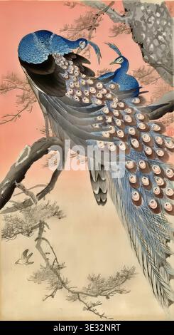 Ohara Koson – Two Peacocks on a Tree Branch (Twee pauwen op boomtak ...