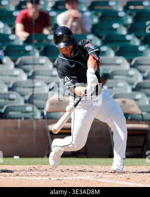 Arizona Diamondbacks' Jorge Barrosa, right, slaps hands with Adrian del ...