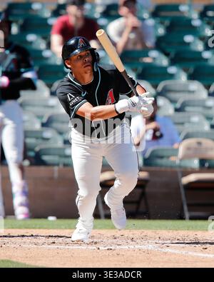 Arizona Diamondbacks' Jorge Barrosa, right, slaps hands with Adrian del ...
