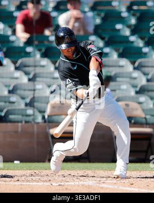 Arizona Diamondbacks' Jorge Barrosa, right, slaps hands with Adrian del ...