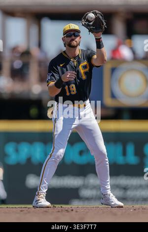 Pittsburgh Pirates shortstop Jared Triolo (19) in the eighth inning of ...
