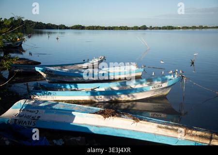 Campeche, Mexico; 1st January 2026: Promenade with monument and palm ...