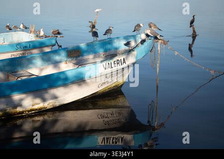 Campeche, Mexico; 1st January 2026: Promenade with monument and palm ...