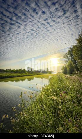 A picturesque river view at sunrise, surrounded by lush greenery ...