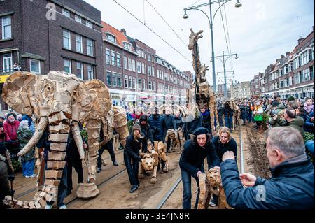 The creatures seen surrounded by a huge audience. THE HERDS, a public ...