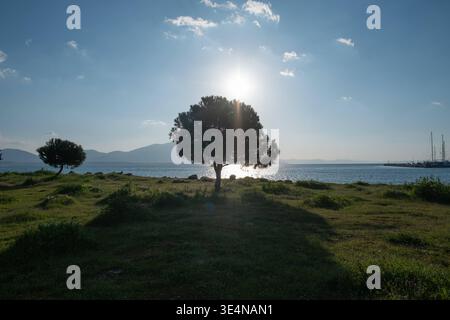 Strand von Nea Artaki auf der Insel Euboea am 19. Mai 2026. GREECE ...