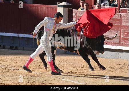Bullfighter Cristian Perez during the bullfight with bulls from the ...