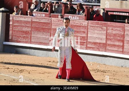 Bullfighter Cristian Perez during the bullfight with bulls from the ...
