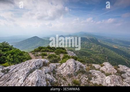 Expansive View from Mountain Peak Capturing Vast Forested Landscape ...