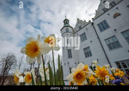 March 31, 2026, Germany: In this photo illustration, the logo of beauty ...