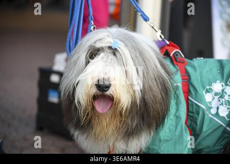 Early arrivals to Crufts 2026, 5th March, 2026, National Exhibition ...