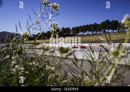 07 MOLLER Jens Reno (den), BOLUKBASI Cem (tur), Vector Sport, Oreca 07 ...