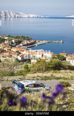 95 ARMSTRONG Jon, BYRNE Shane, Ford Puma Rally1, M-Sport Ford World ...