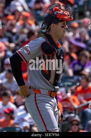 San Francisco Giants' Daniel Susac in action during a baseball game ...