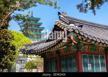 Curved eaves of traditional Korean palace building, Changdeokgung ...