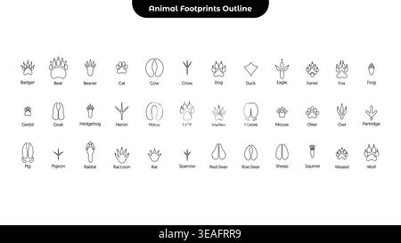 Partridge Footprint Paw Print Silhouette Vector Icon Black Isolated ...