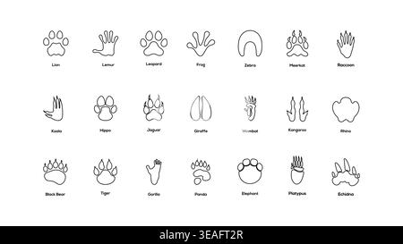 Platypus Footprint Paw Print Silhouette Vector Icon Black Isolated ...