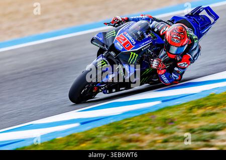Number 20 Monster Energy Yamaha MotoGP rider Fabio Quartararo during ...