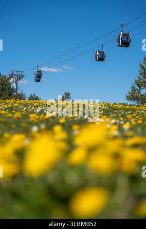Yellow cable cars, cableway over the bridge, Rioni river and city blue ...