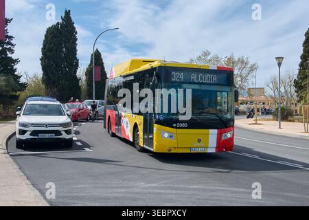 Urban transit bus traveling under tropical palm trees and sunlight in ...