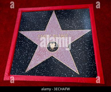Hollywood, USA. 30th Apr, 2026. Bill Pullman and Tamara Hurwitz ...