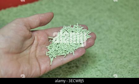 Hand Holding Green Cat Litter Pellets Stock Photo - Alamy