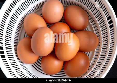 Fresh brown chicken eggs arranged in cardboard carton tray on light ...