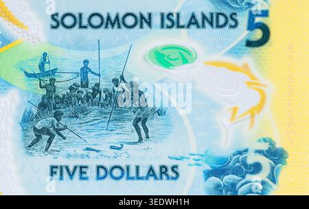 Solomon Islands 2019 five dollar banknote bill on polymer issued Bank ...