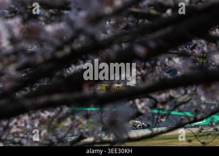 87 BEARMAN 'Ollie' Oliver (gbr), TGR Haas F1 Team VF-26, action Stock ...