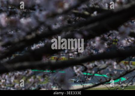 27 HULKENBERG Nico (ger), Audi F1 Team, action Stock Photo - Alamy