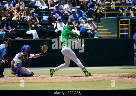 Angel Laya (53) of the Oregon Ducks at bat during a game against the UC ...