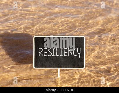 Resiliency symbol. Concept word Resiliency on beautiful white marble ...