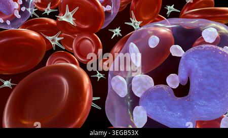 A 3D medical illustration of depicts various blood components including ...