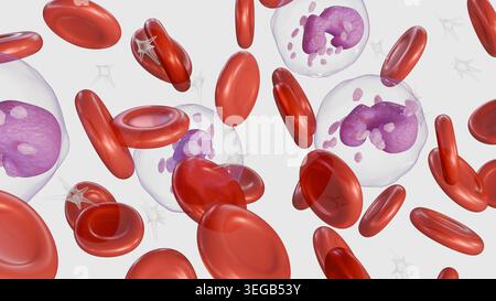 A 3D medical illustration of depicts various blood components including ...