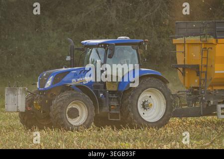 A black tractor pulls a yellow trailer being filled with grain from an ...