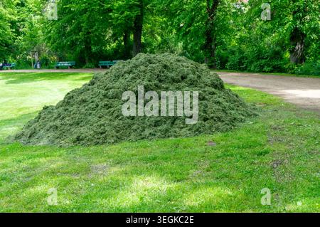 A pile of freshly mowed grass in a park Stock Photo - Alamy