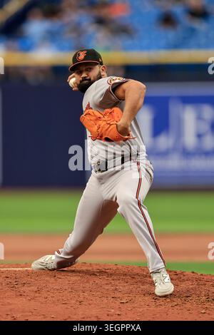 Baltimore Orioles pitcher Rico Garcia looks up after securing a win in ...