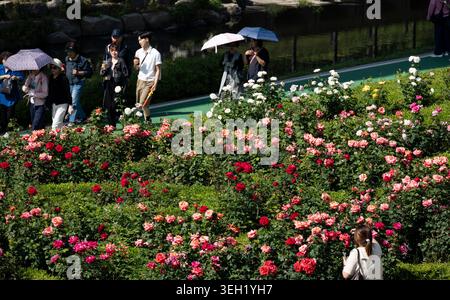 22 Jun 2026 - Seoul, South Korea : K-Pop girl group Hearts2Hearts ...