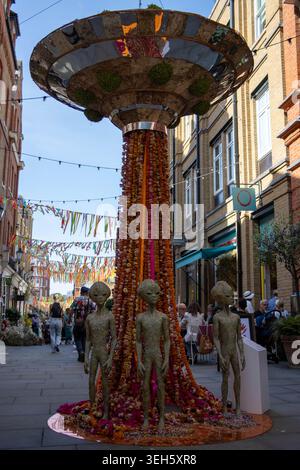 Belgravia in Bloom 2026, during the week of the Chelsea Flower Show ...