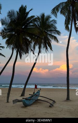 Outrigger canoe known as oruwa used by Sinhalese fishermen pulled up on ...