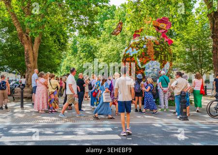 Belgravia in Bloom 2026, during the week of the Chelsea Flower Show ...