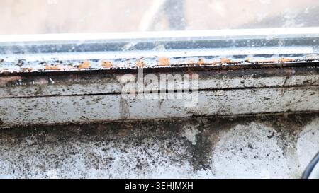 Black Mold on Window Sill and Frame Corner Stock Photo - Alamy