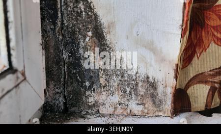 Black Mold on Window Sill and Frame Corner Stock Photo - Alamy